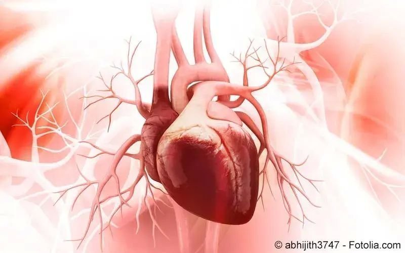Aortenstenose Pulsus Parvus Et Tardus