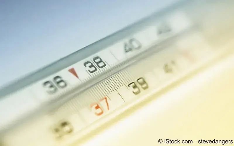 Drei Tage Fieber Ansteckend Für Erwachsene