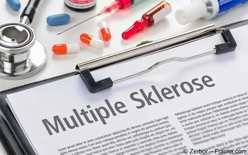 Edss Multiple Sklerose Rechner